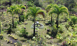 ‘Awapuhi Labyrinth | RhythmFullCircle